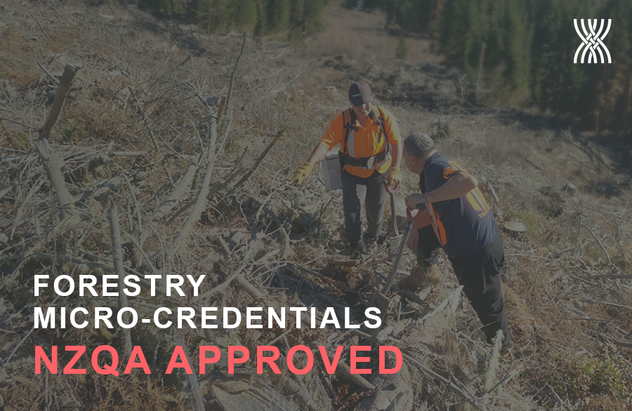 New Forestry Micro-credentials approved by NZQA - Muka Tangata